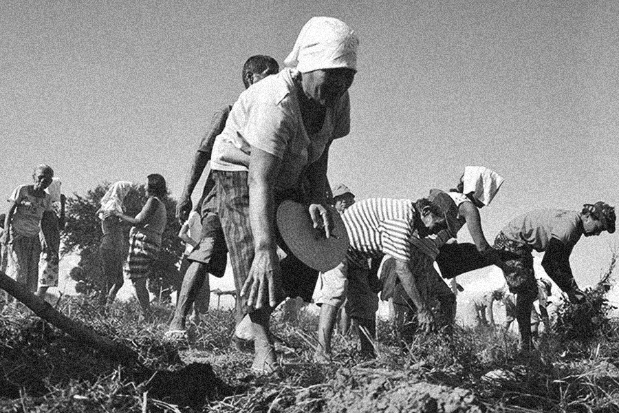 About – updates from the peasant movement of the Philippines