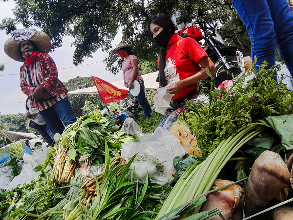 Alyansa ng Magbubukid sa Bulacan: Defending the land, building people’s ...