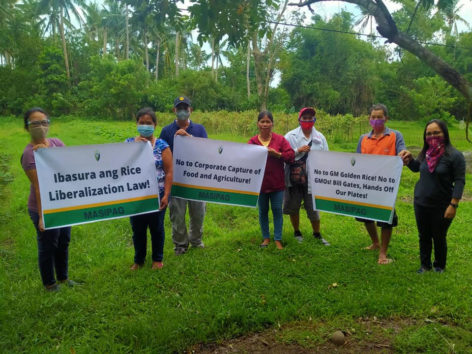 UNITY STATEMENT. No to Golden Rice – updates from the peasant movement ...