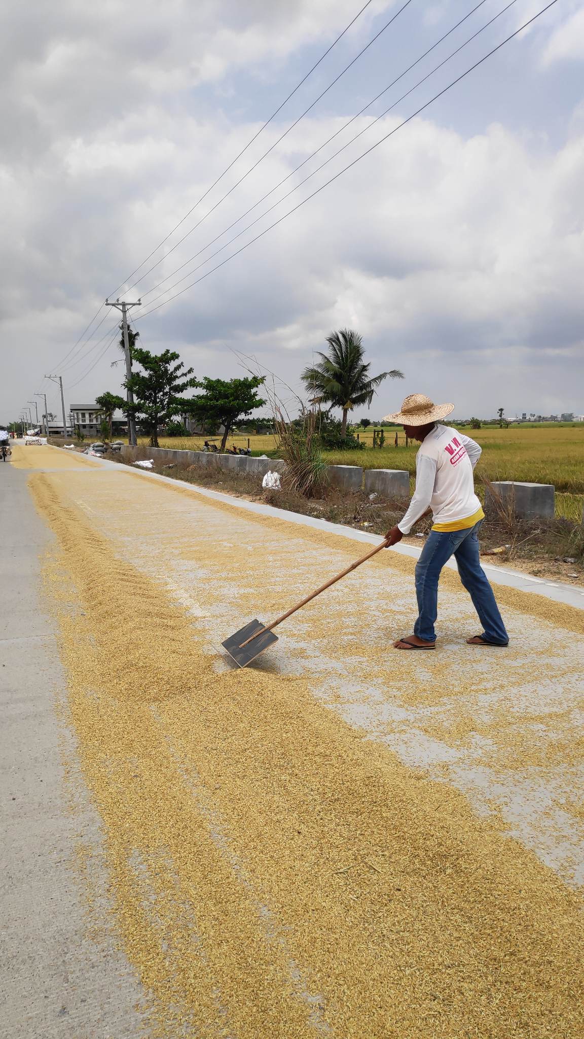 Farmers to NFA: Buy from local farmers and do not import rice for ...