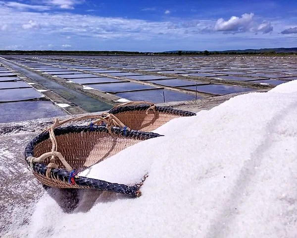 Farmers support salt industry industrialization – updates from the ...
