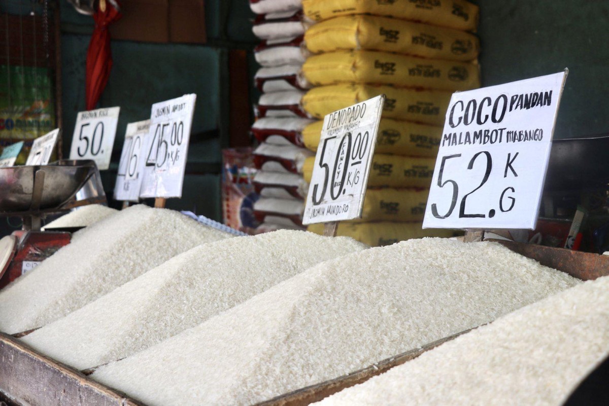 Protect rice lands, strengthen domestic rice production, lower farming ...