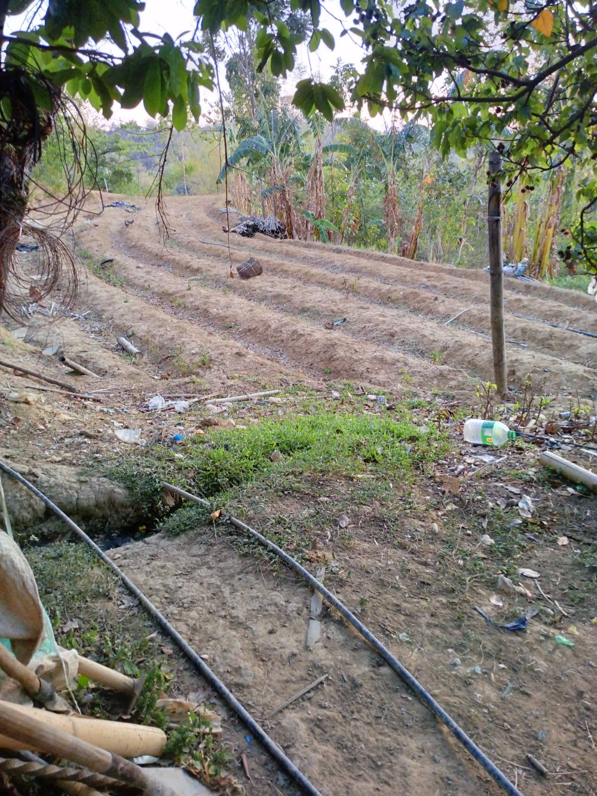 SAGIP KANAYUNAN Urgent Appeal for Support – updates from the peasant ...