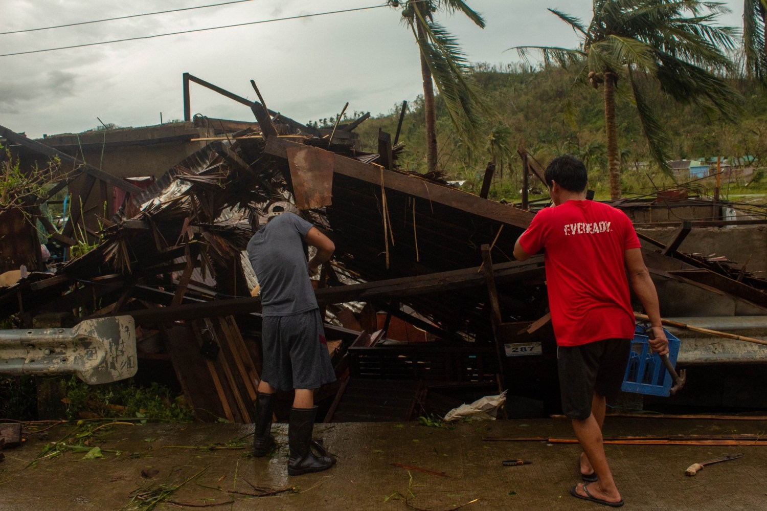 Peasant group demands swift aid for Catanduanes farmers, fishers after ...